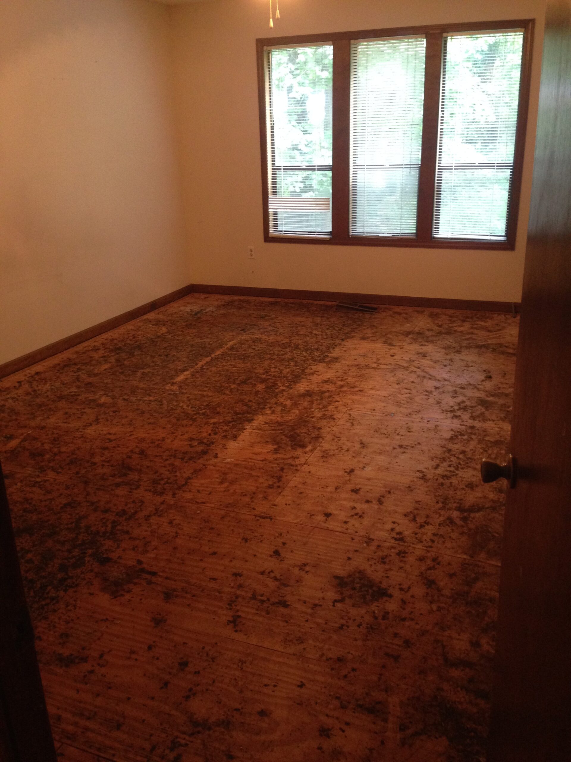 Carpet Demo & Removal in Marietta – Stand Up Guys Junk Removal