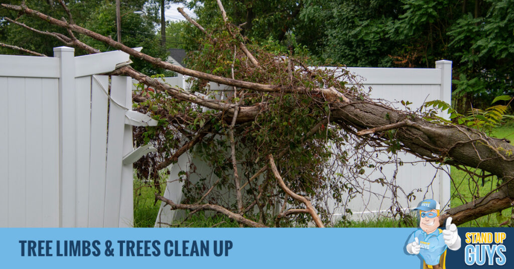Expert Fallen Tree and Limb Removal Service – Stand Up Guys Junk Removal